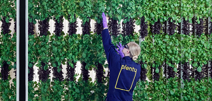 Vertical farms produce 400 times more yield using 95% less water and 99 ...